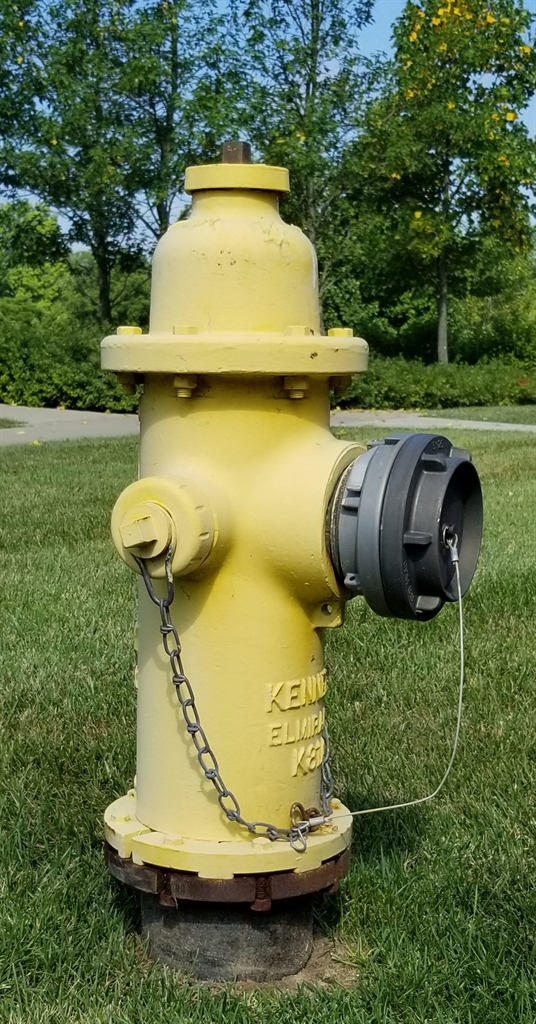Community Service Project: Paint a Township Fire Hydrant > Anderson ...