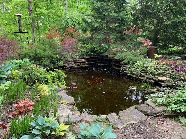 Enjoy a Virtual Garden Experience > Anderson Township